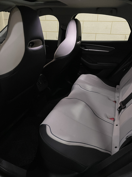 Byd chazor gibrid