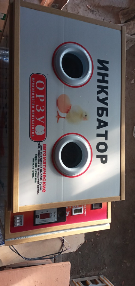 Inkubatr Orzu 100 talik