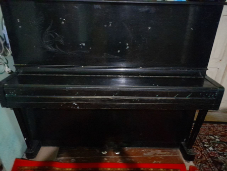 Pinina sotiladi juda tez