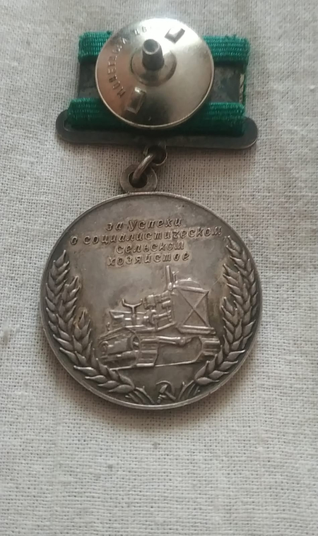 Малая серебрянная медаль ВЛНХ.