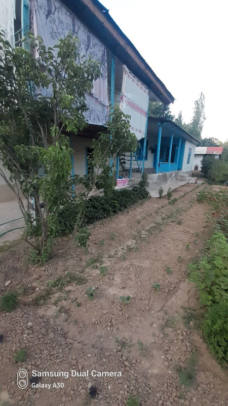 Tosh vil. Boʻstonliq tum. Sijjak qishlogʻida uy sotiladi