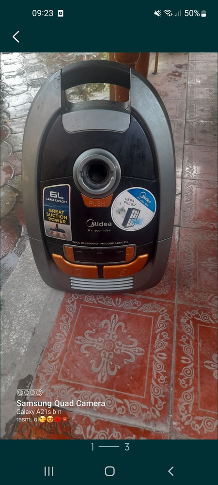 Midela qora tinipq pilipsops