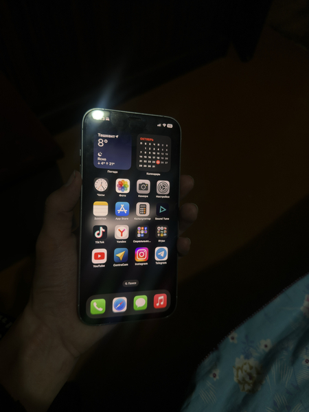 Iphone 12pro max
