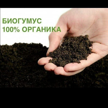 Bio gomus maxsuloti