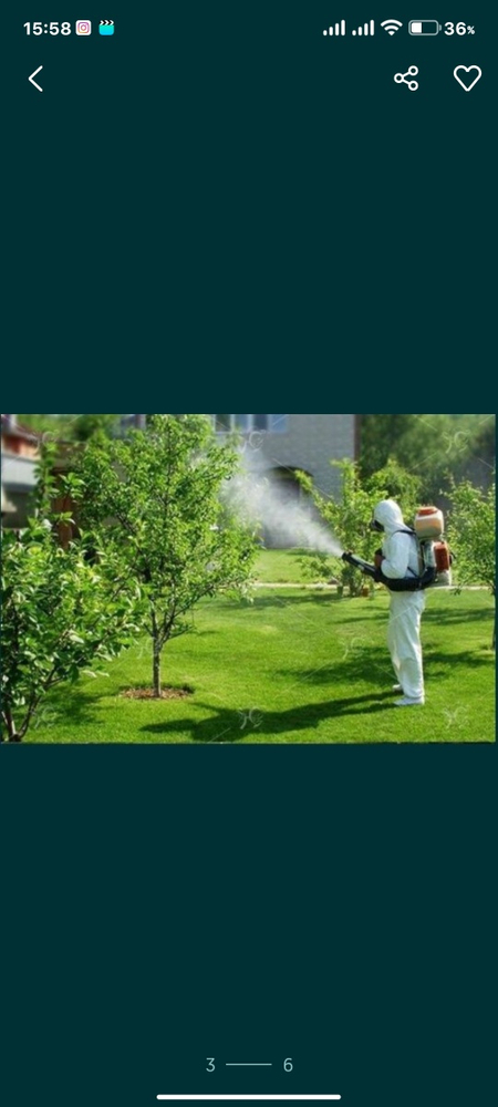 Archa va gullarga shakil berish va dorilash bizdan .