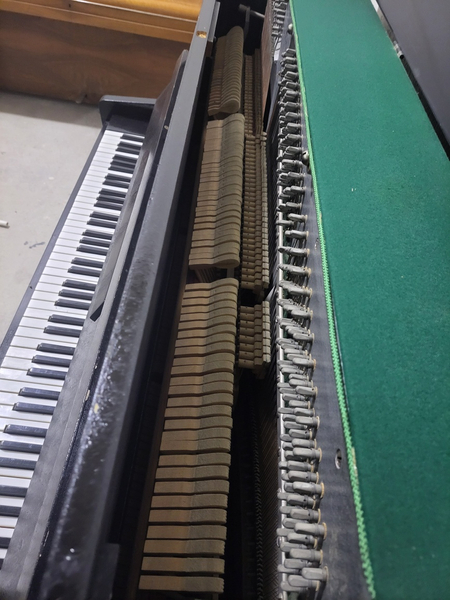 Fortepiano Belarus