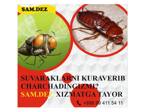 Дезинфекция в Самарканде(Dezinfeksiya)