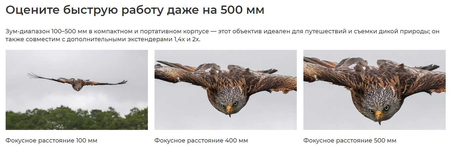 Canon RF 100-500MM F4.5-7.1 L IS USM