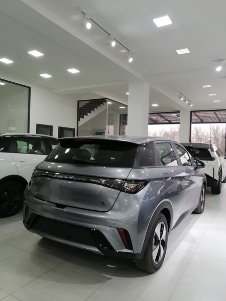 BYD Dolphin fashion edition (510 km)