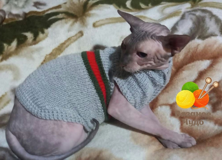Вязаная одежда для животных.