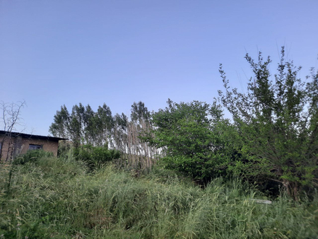 Продается дом 13 сотик Таваксай Саджарис