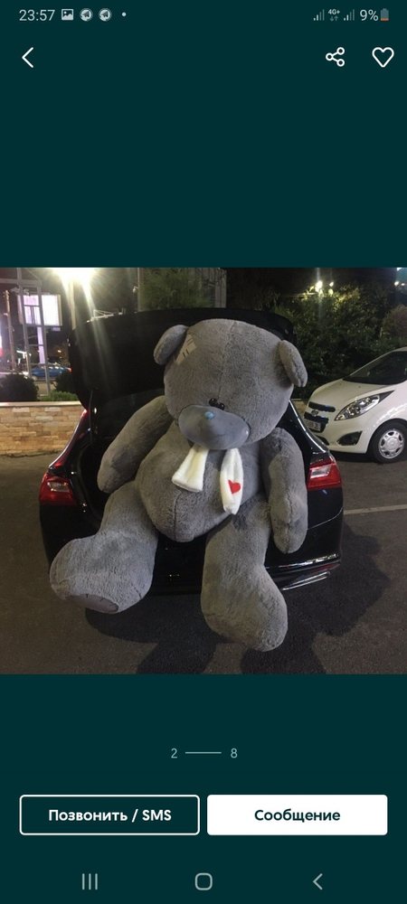 Teddy teddy teddy