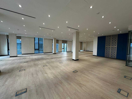 Аренда офиса 290 кв в бизнес центре Nova Plaza