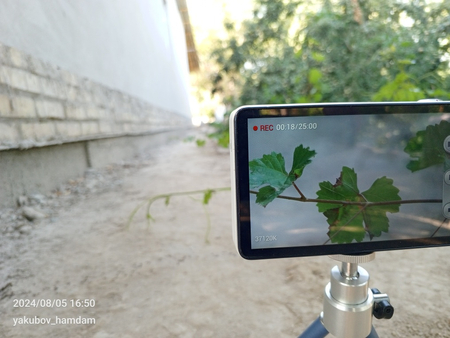 Samsung galaxy camera