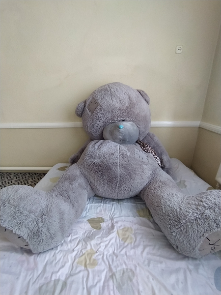 Teddy yumwoq oyinchoq