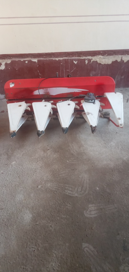 Jatka ikki parrakli