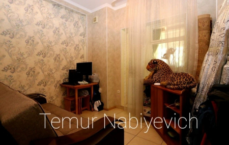 2в3, парк Фурката, Рисовый