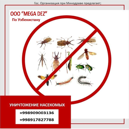 OOO “MEGA DEZ” быстро избавит Вас от всех грызунов и насекомых!!!