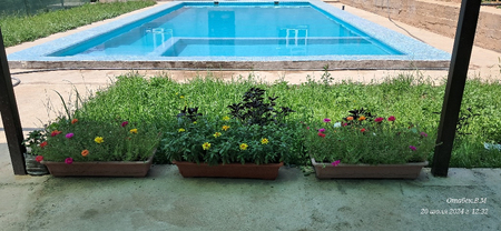 Dacha Burchmullo