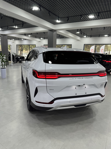 BYD Champion 110/150 Flagship(Hybrid)
