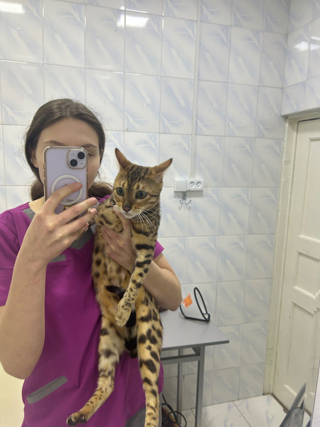 Ветеринарный врач на дом
