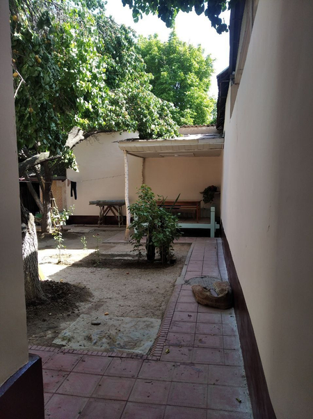 Xovli sotiladi qora qamichi 2.2  3 sotik