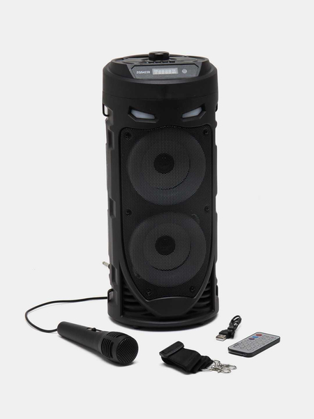 Портативная колонка с 
микрофоном Sing-e ZQS4239