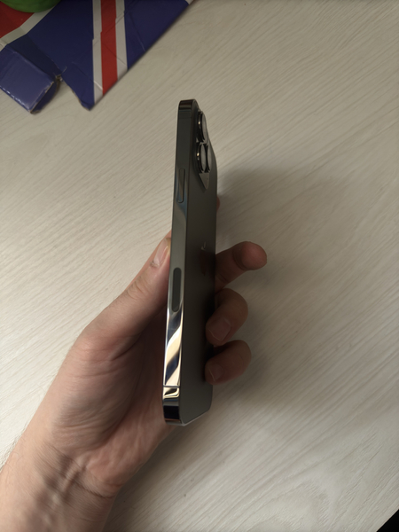 iPhone 13 Pro Max 256GB 100%