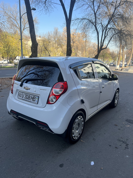 Spark MT 2019y. Gazi bor