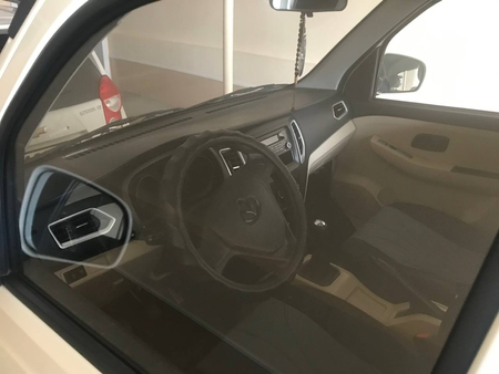 Changan bortliii
