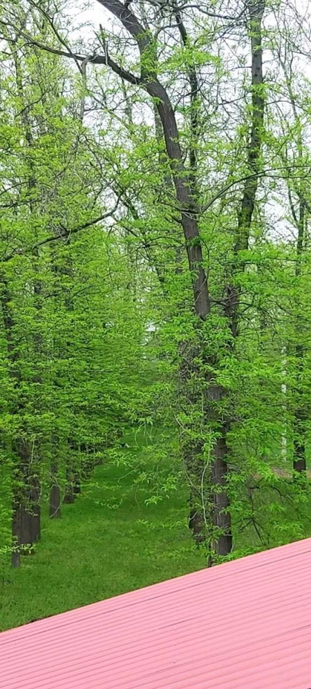 Продается дом 4 сотки. Дентропарк.