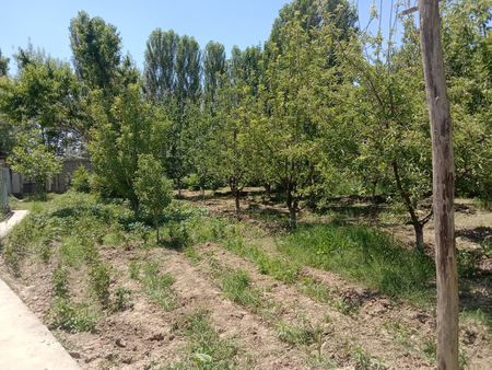 Ҳовли-жой сотилади