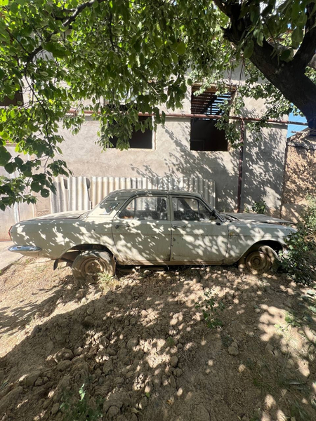 Volga sotiladi eng arzon bopyotipti