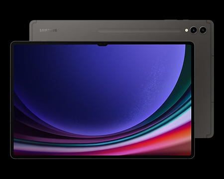 Samsung Tab S9 Ultra 12/256 Gb Sim