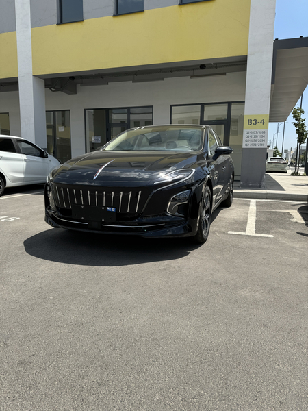 Hongqi eqm5 nalicha