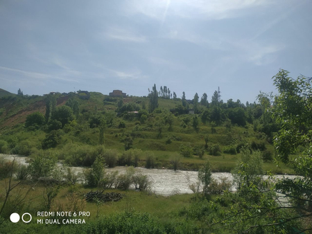 Dacha ugam daryosi buyida bochka yaqinida