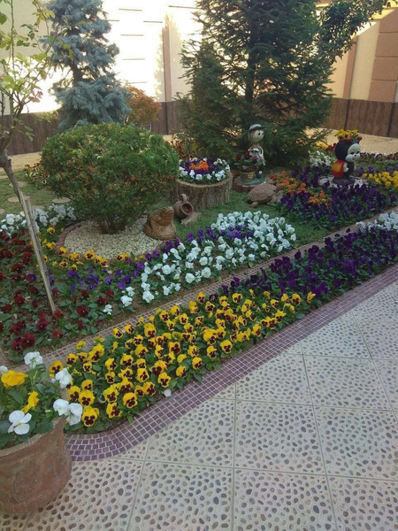 Садовник готовится к осени