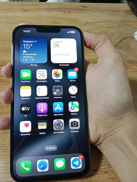 iPhone 13 pro max