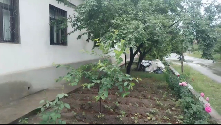 Yqngi xayotda uchastka sotikadi