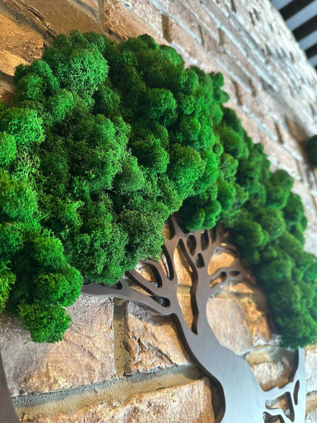 Картина из стабилизированного мха Tree