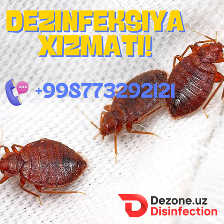 Дезинфекция и Дезинсекция