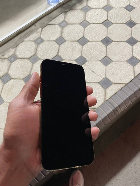 Iphone 12 pro max