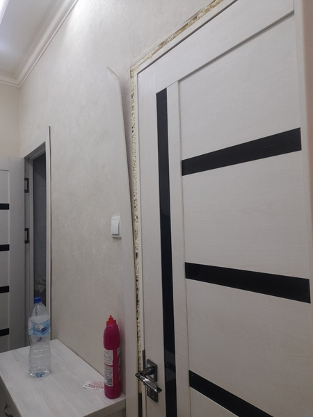 Arenda. Chilonzor 6 kvartl Mirzo Ulug‘bek M 5 ta bolla va oila qo‘yila