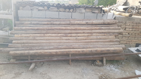 Qizil po'choq yog'ochlar