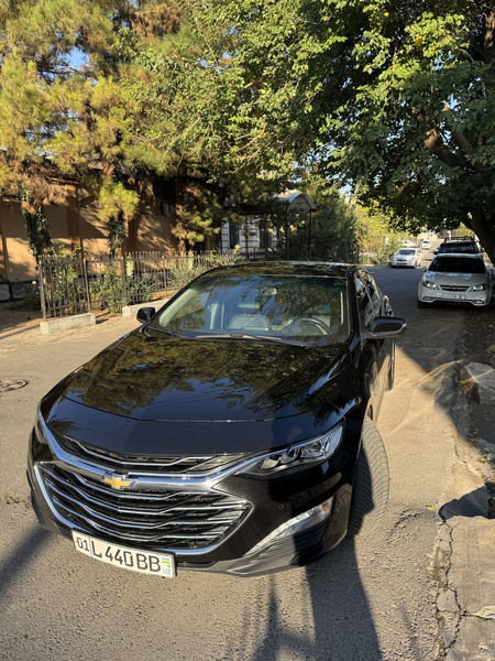 Malibu 2 primier 2020