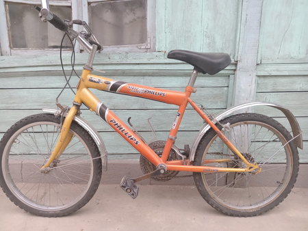 Velosiped PHILLIPS 20