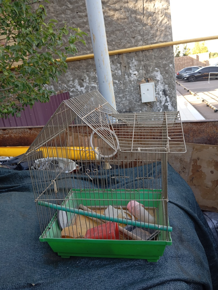 Qapas sotiladi ichida hamma narsasi bor