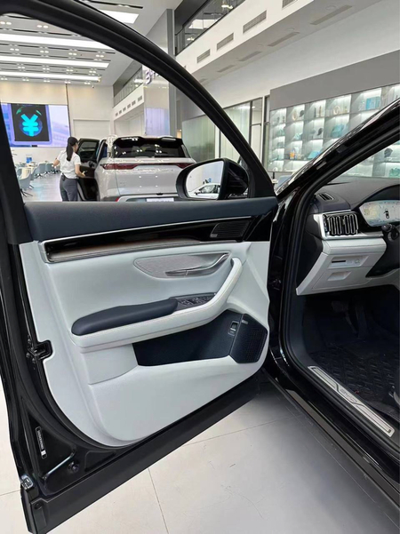 BYD Song plus 2024 Ev