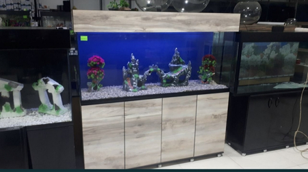 Akvarium zakasga yasimiza Har xil razmerda