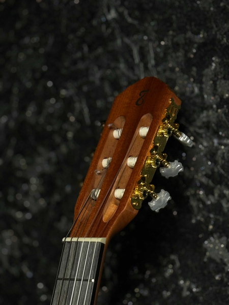 (MUSIC BRAND) Tagima Gitara